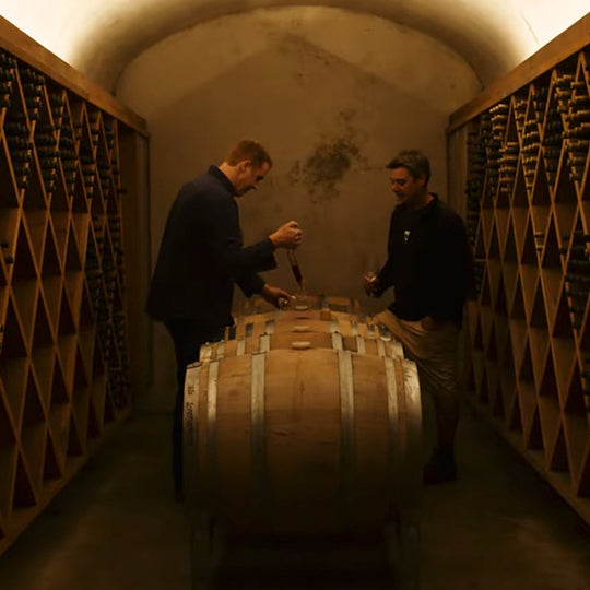 Gravity Cellars Winery & Wine Tasting | Mahana, Nelson NZ