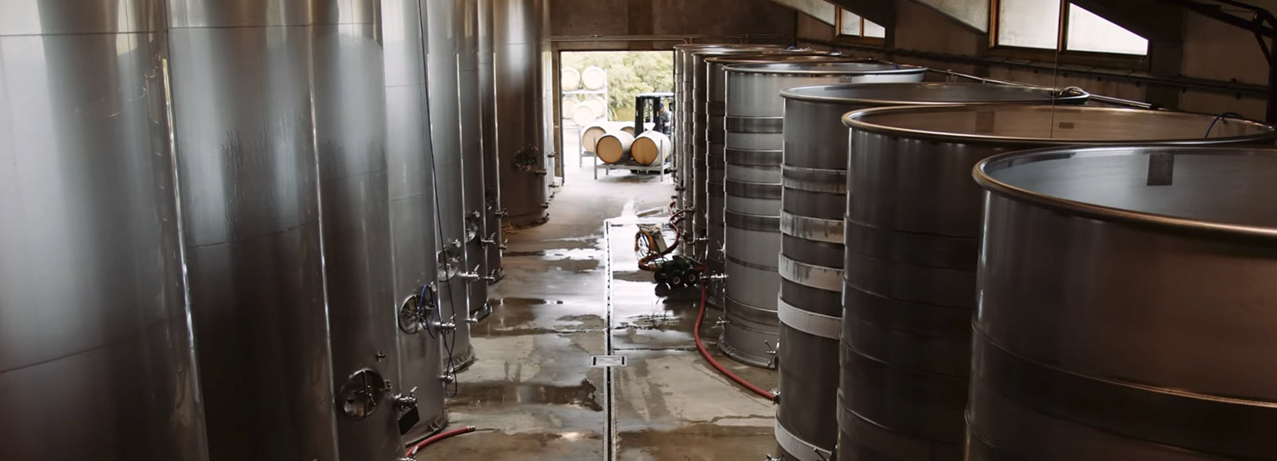 Guided Winery Tours | Gravity Cellars, Mahana Nelson NZ